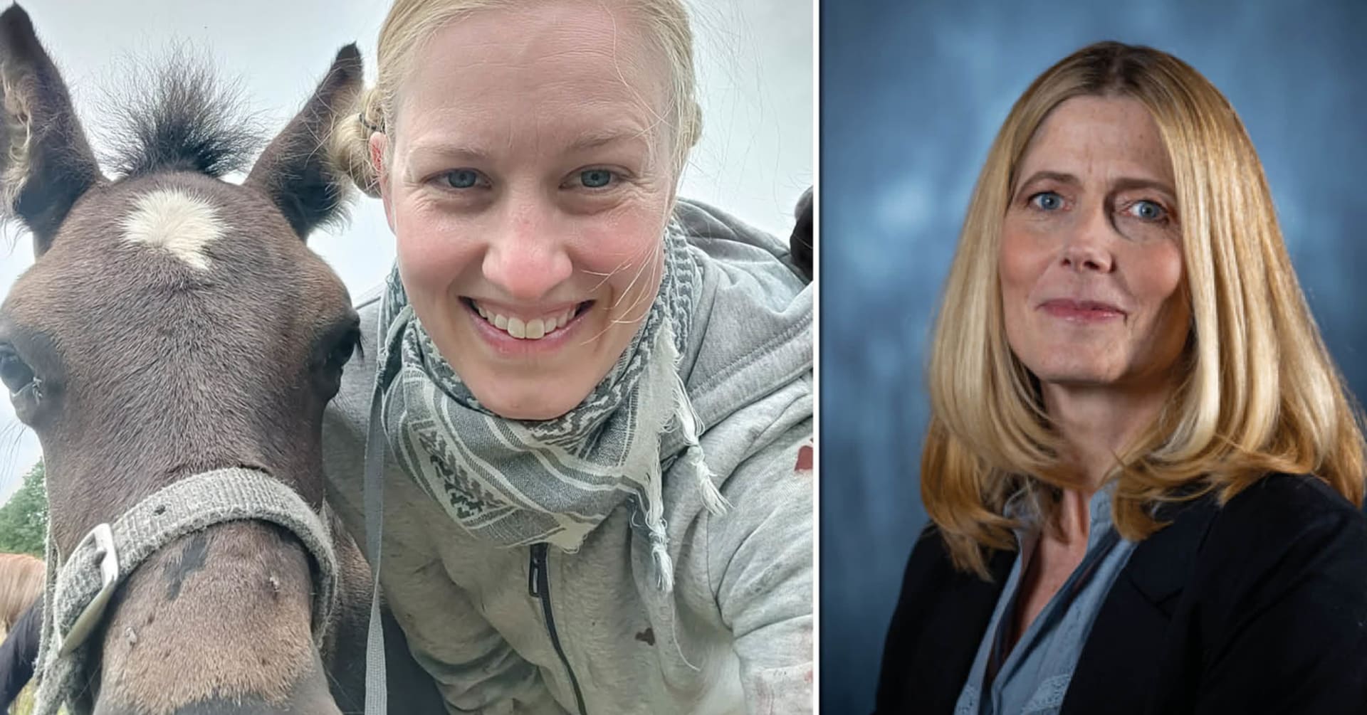 Svensk Travsport I Ppet Brev Om Veterin R Jourverksamhet Senaste