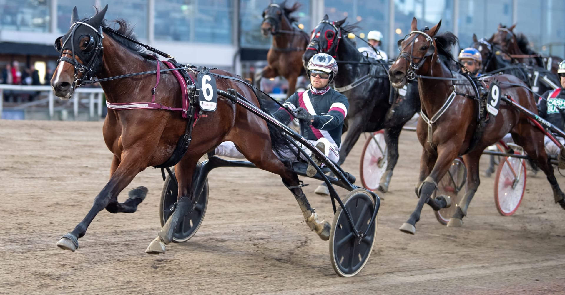 Svensk Travsport Om Adrian Kolgjinis Bestraffning Senaste Nyheterna
