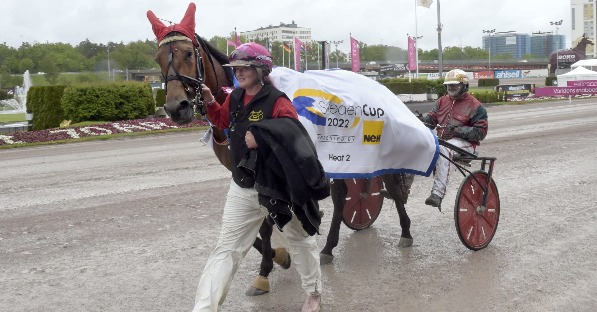 Hästarna i Sweden Cup 2023 · Senaste nyheterna om trav · Travronden