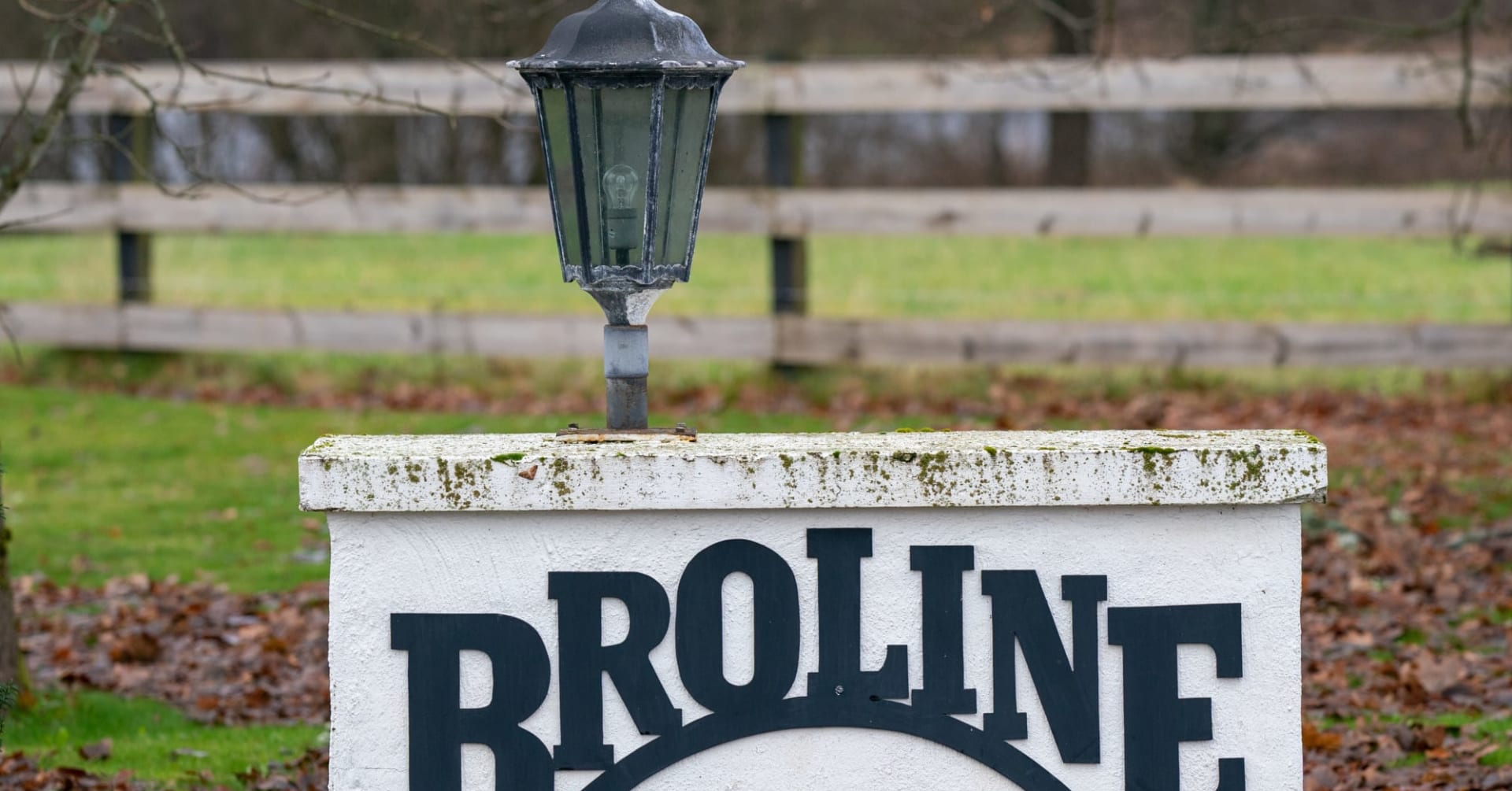 Stuteri Broline har sålts · Senaste nyheterna om trav · Travronden