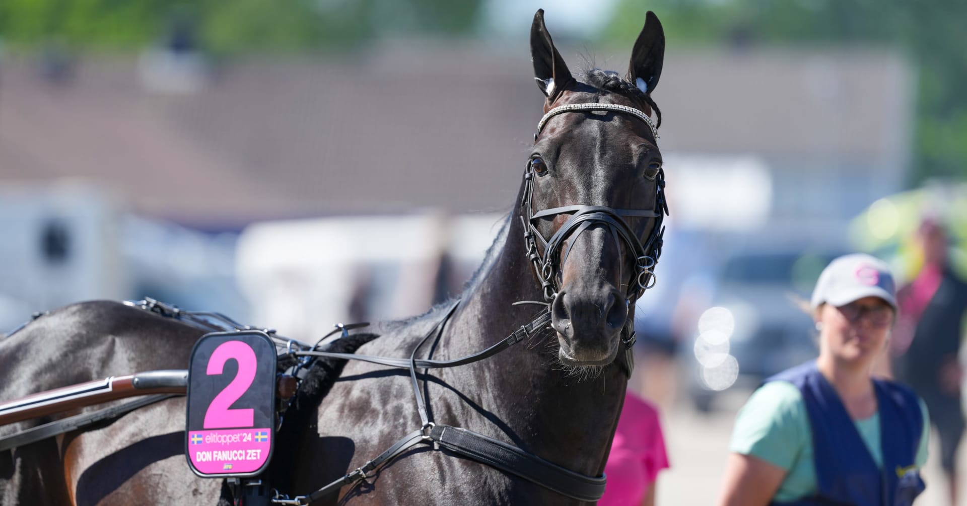 Fyra svenska hästar anmälda till Prix de Belgique · Senaste nyheterna ...