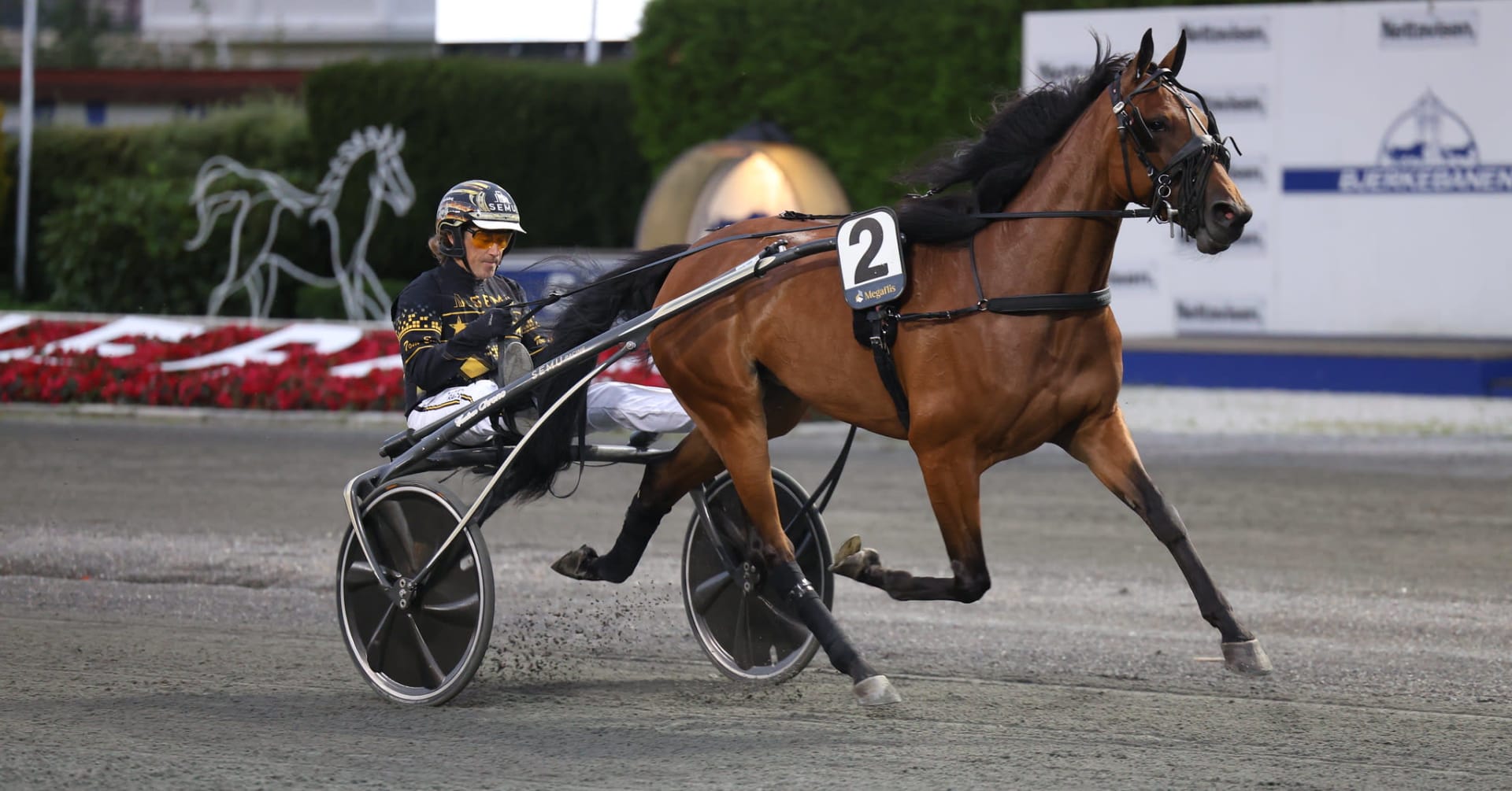 "Alt har vært perfekt"