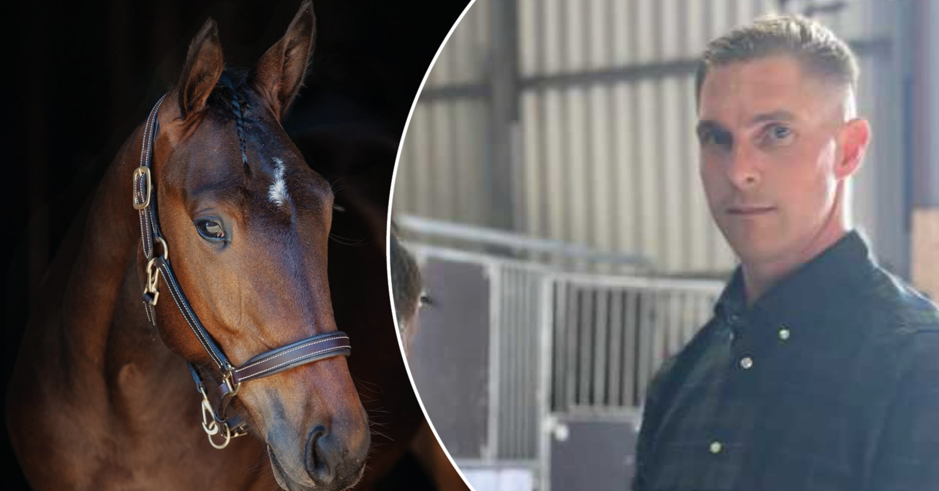 Fredrik Lind sålde sin första uppfödning · Senaste nyheterna om trav · Travronden