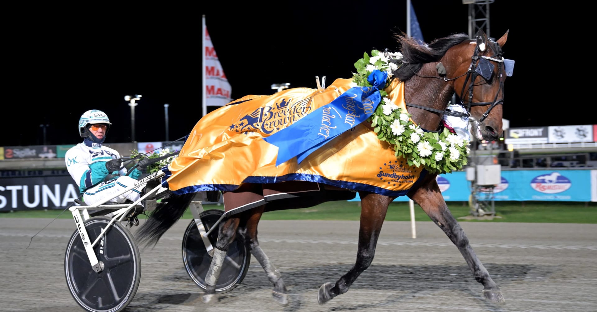Perfect Chest gör årsdebut i Visby · Senaste nyheterna om trav · Travronden
