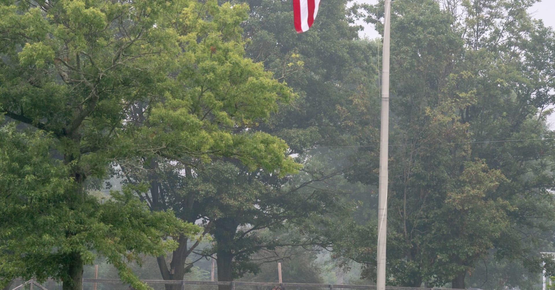 Yankeeland Farm – baseballstjärnans livsverk · Senaste nyheterna om ...