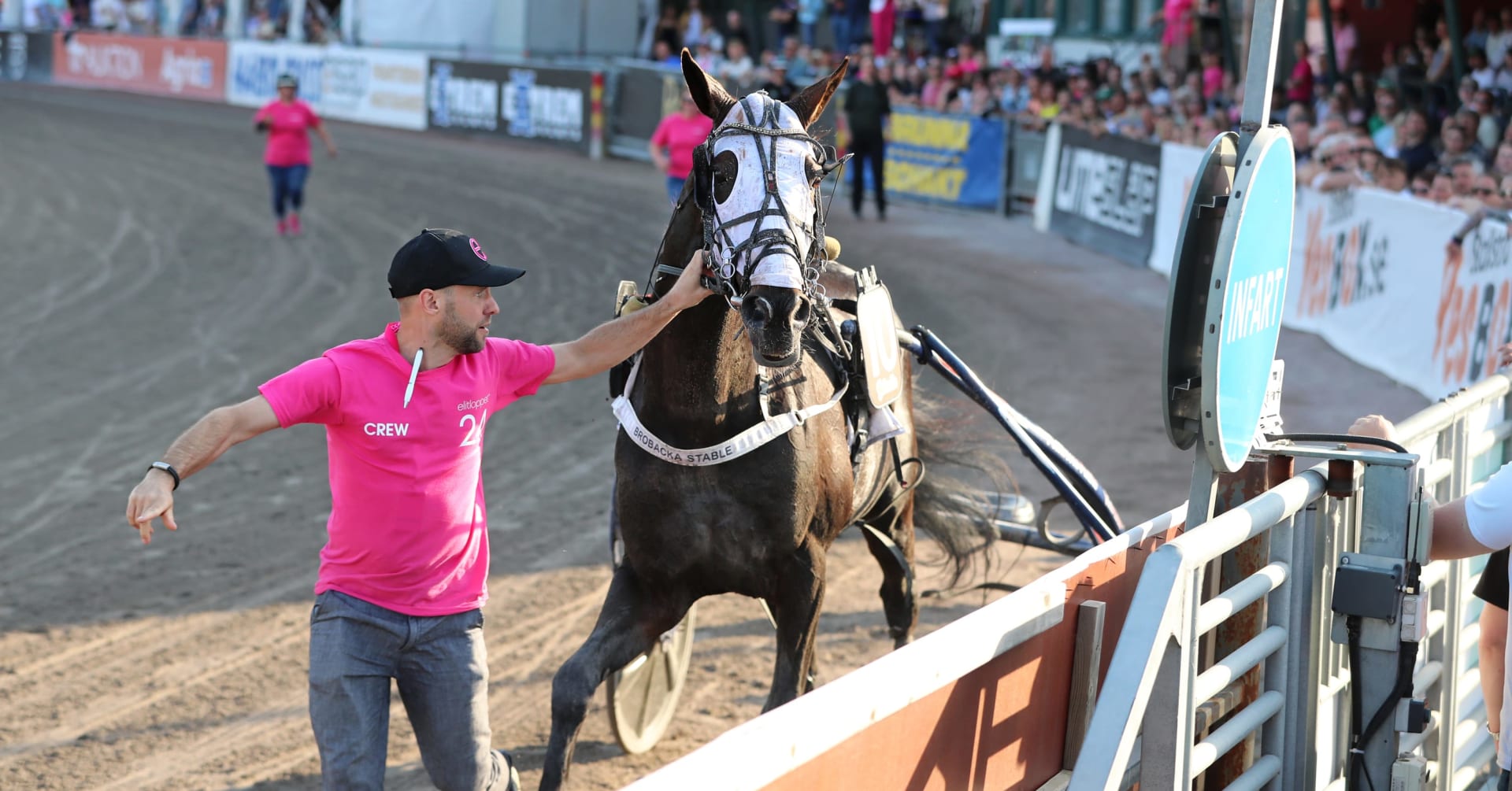 Fabien Husser fångade in Bolt Kronos · Senaste nyheterna om trav ...