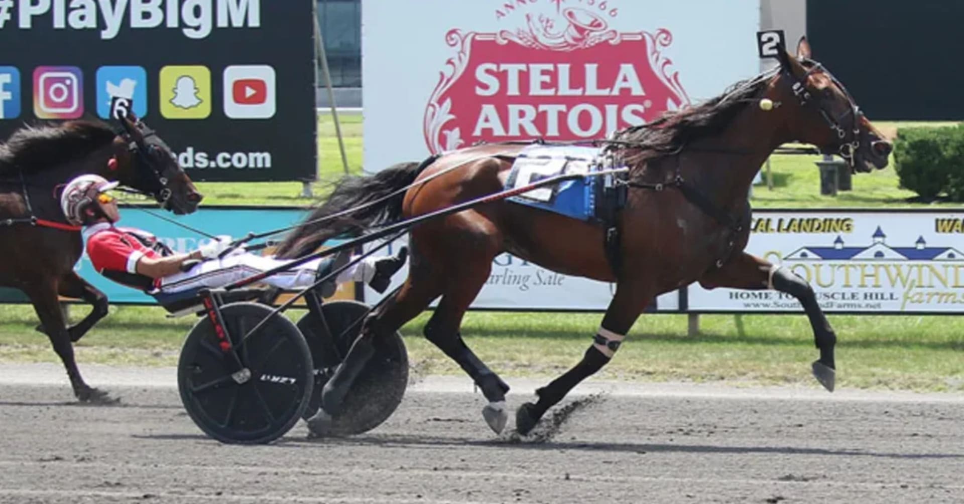 VIDEO - Dexter Dunn ser frem til Elitloppet! VIDEO - Dexter Dunn ser frem til Elitloppet!