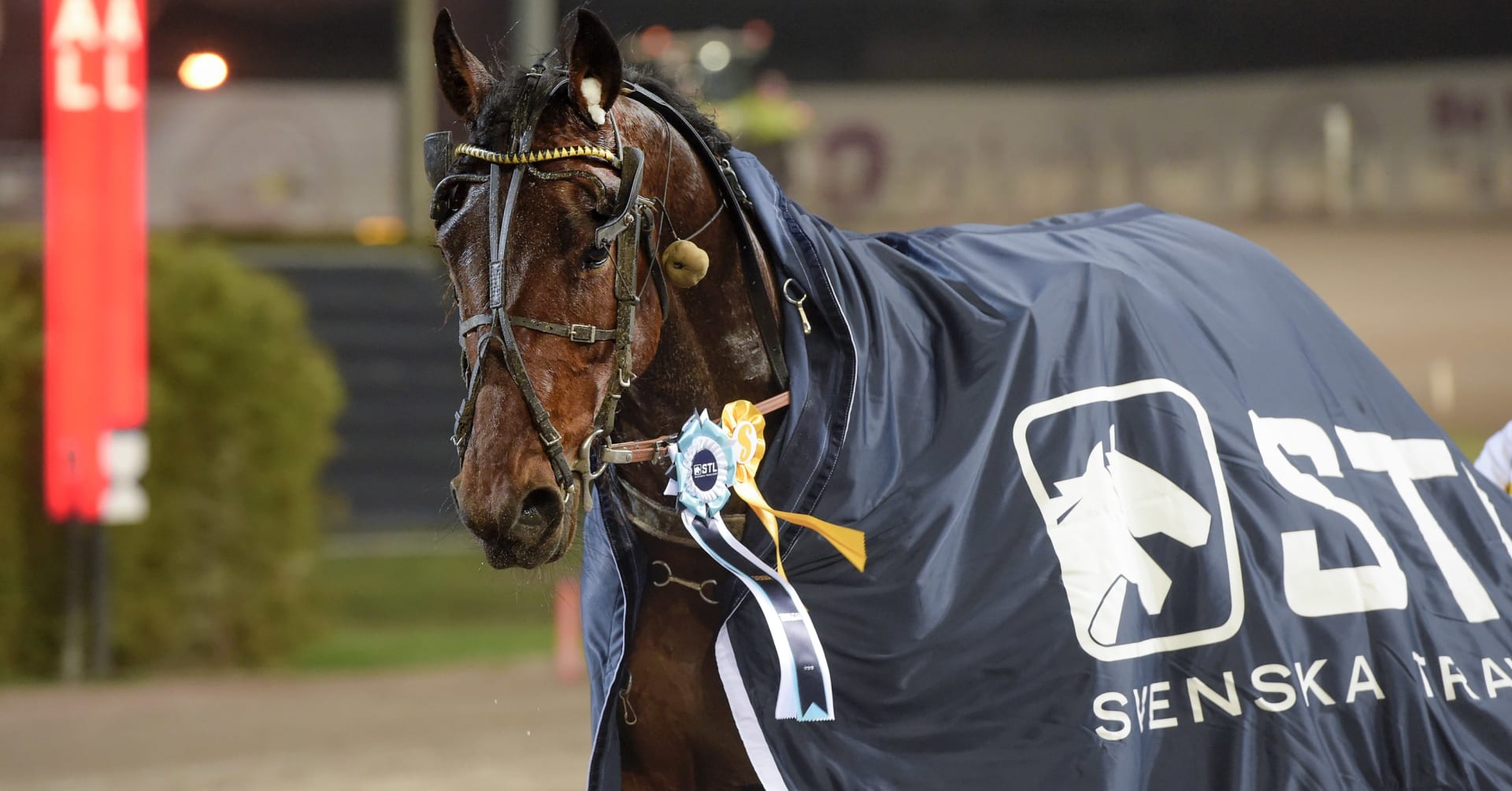 Axel Ruda igen – nu väntar Bollnäs · Senaste nyheterna om trav · Travronden