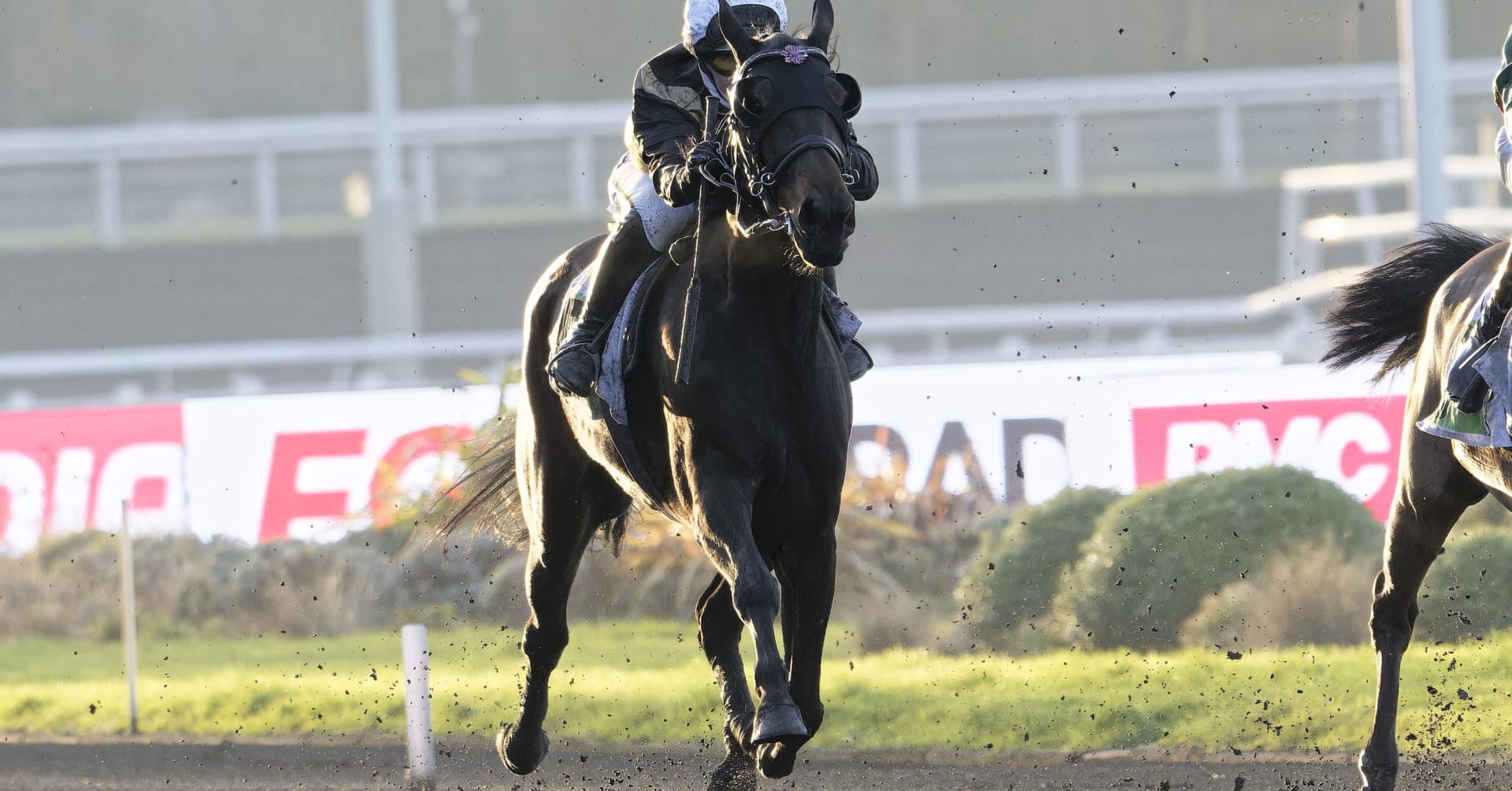 Joy Alissa avslutade karriären på Vincennes · Senaste nyheterna om trav ...