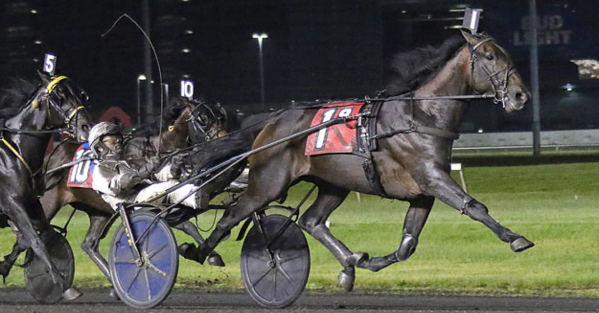 Marcus Melander besöker Elitloppet – kan Venerate bli aktuell ...