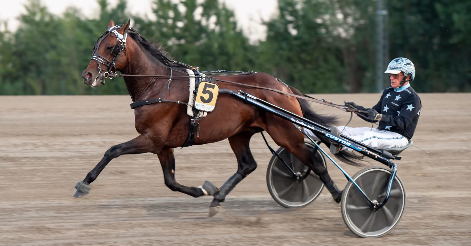 Åke Lindblom om Power Doc och Appasso inför V86 · Senaste nyheterna om ...