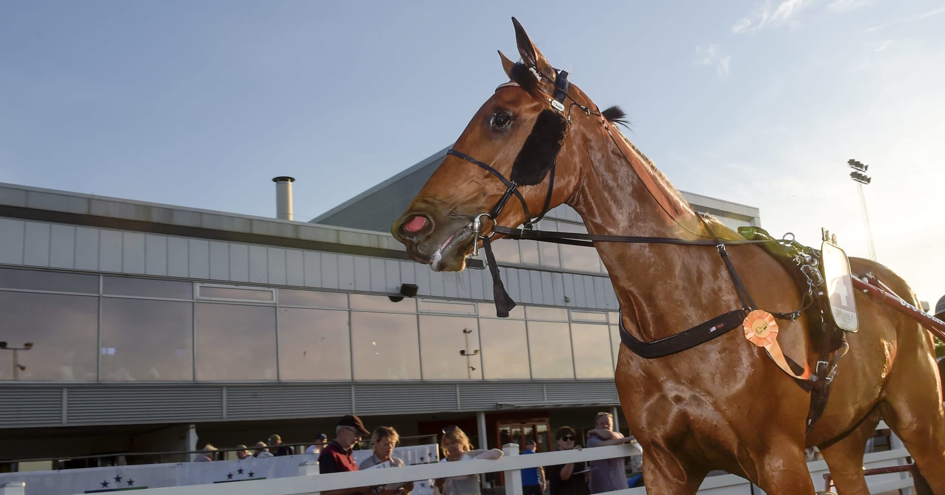Lottat till långa E3 · Senaste nyheterna om trav · Travronden