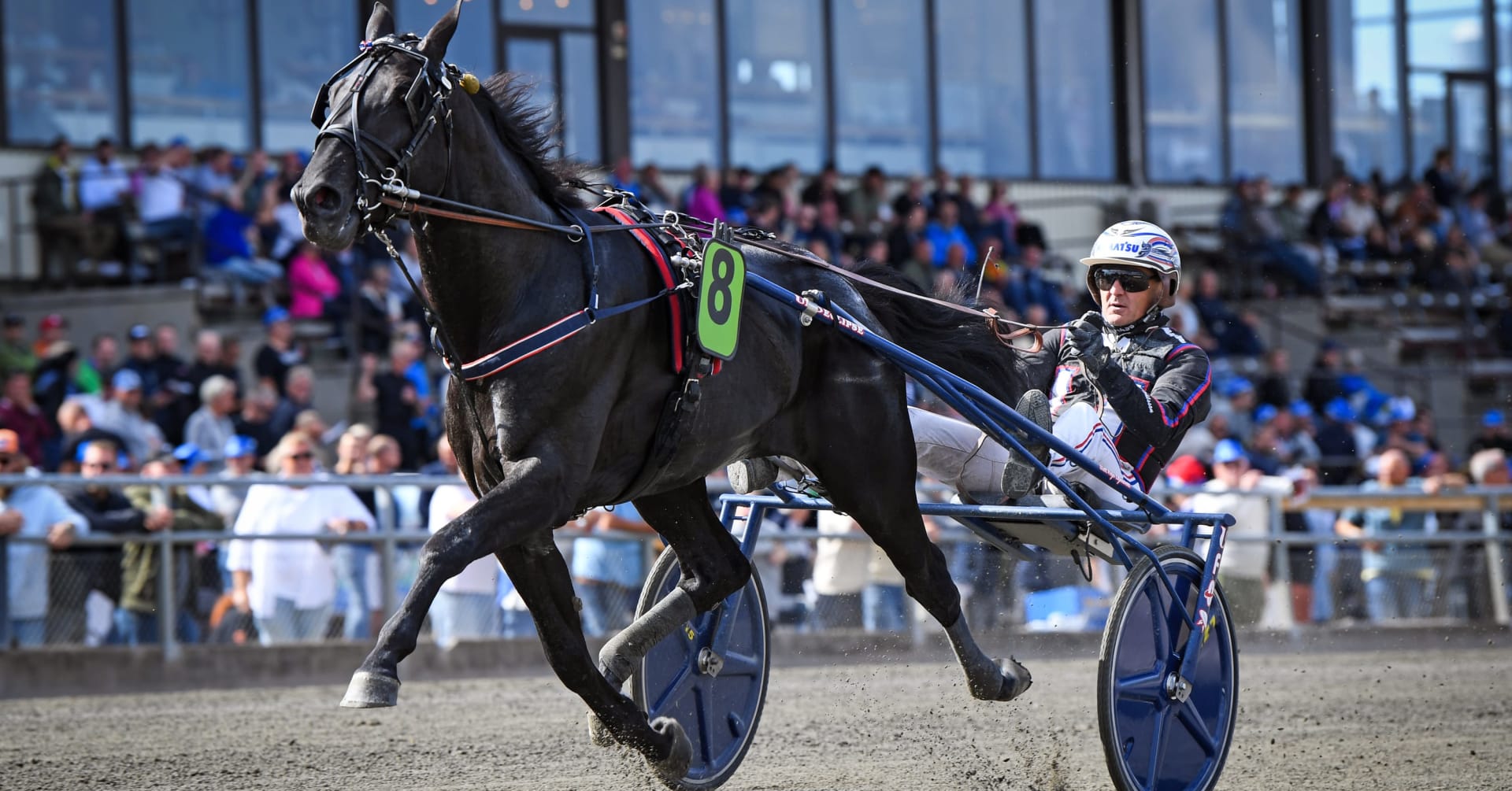 Topphäst byter regi – redo för lopp direkt · Senaste nyheterna om trav · Travronden