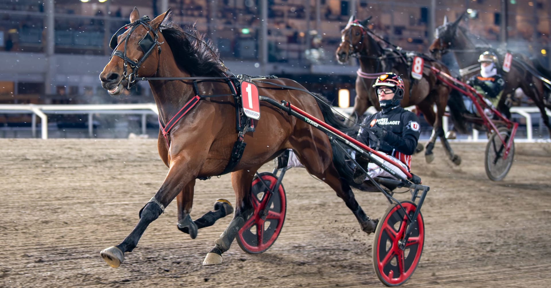 Så gick det i V85-loppen på Jägersro · Senaste nyheterna om trav ...