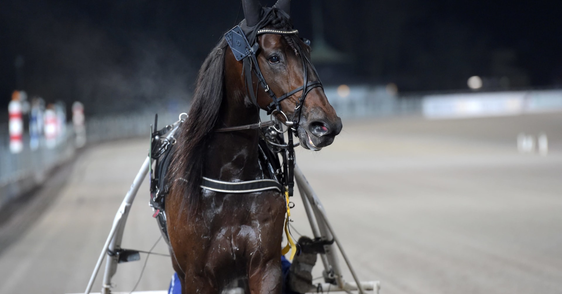 Anmälningslistorna till Critérium Continental och Prix Ténor de Baune ...