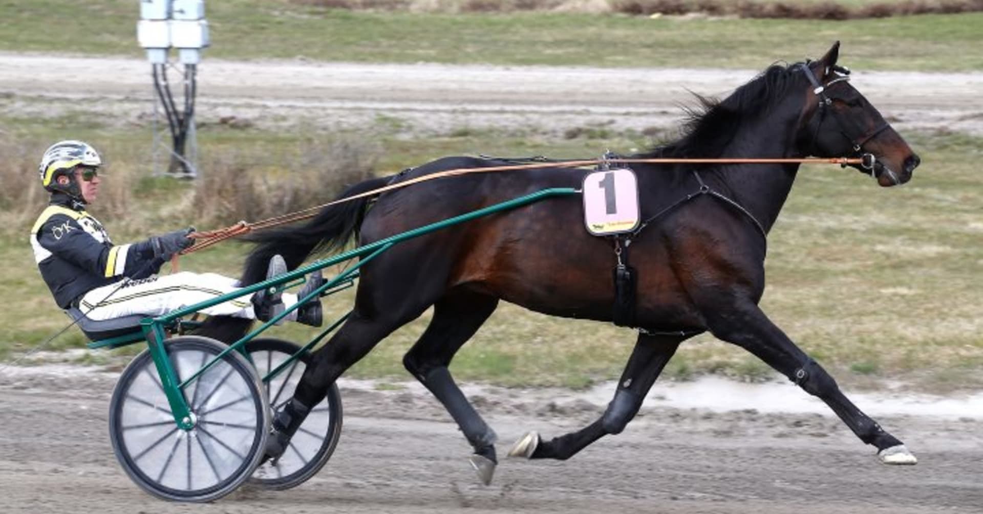 V75-häst såld till Danmark · Senaste nyheterna om trav · Travronden