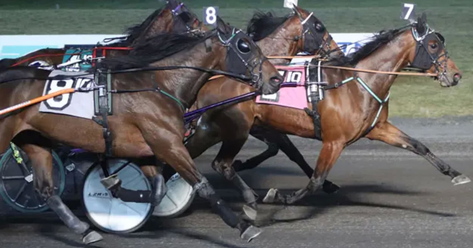 Dubbel för Anette Lorentzon på Meadowlands · Senaste nyheterna om trav ...