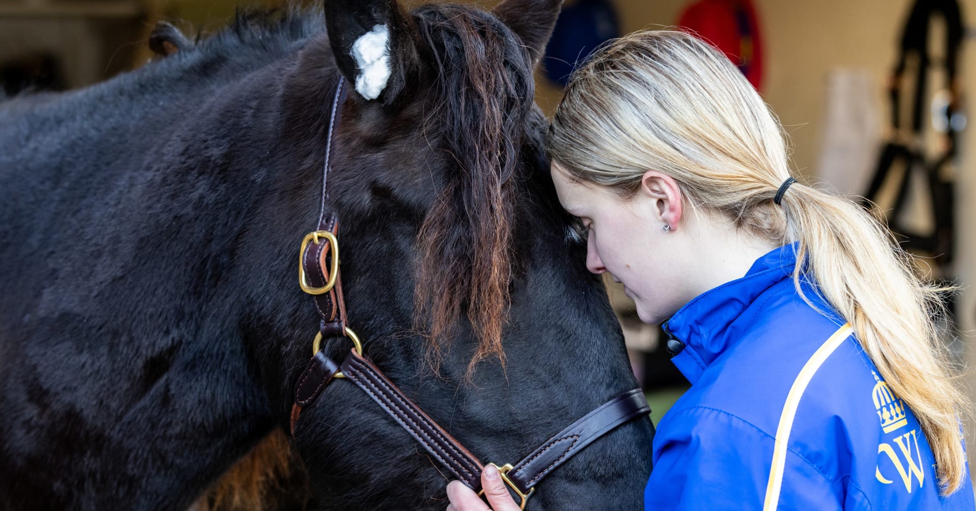Monté-SM flyttas tillbaka till hösten · Senaste nyheterna om trav · Travronden