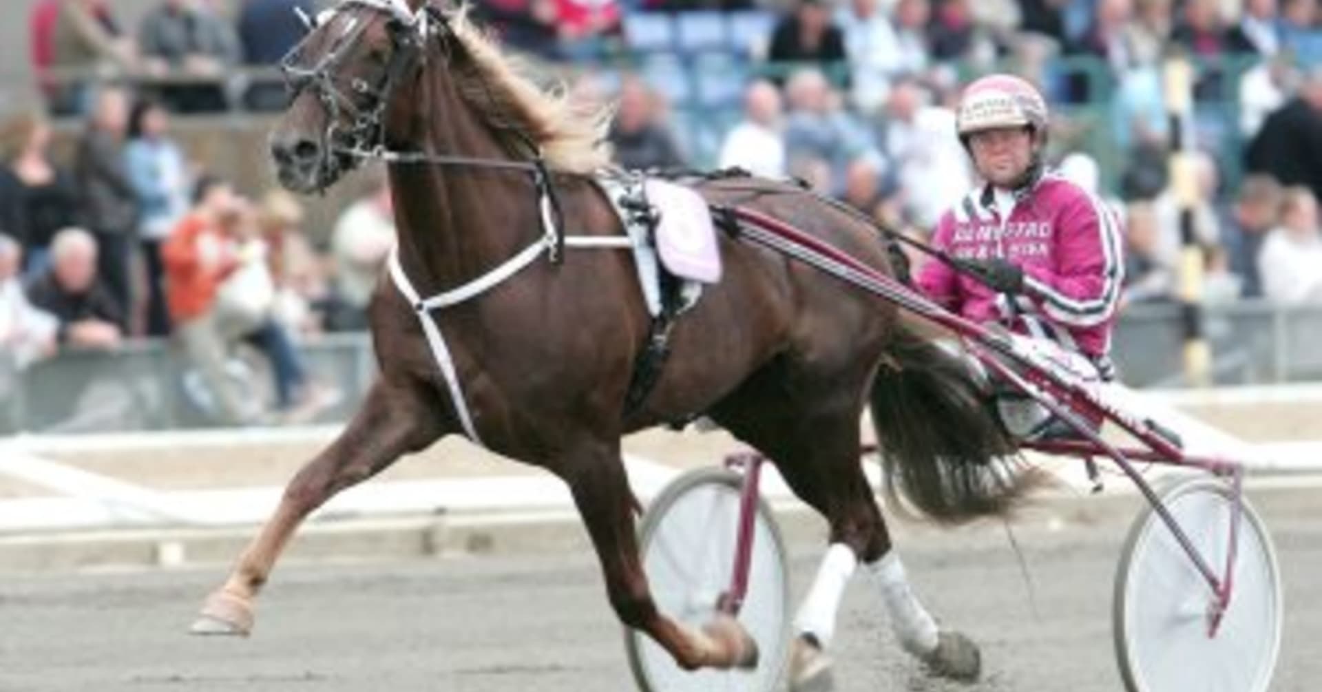 V75: "Inte sämre än de andra" · Senaste nyheterna om trav · Travronden