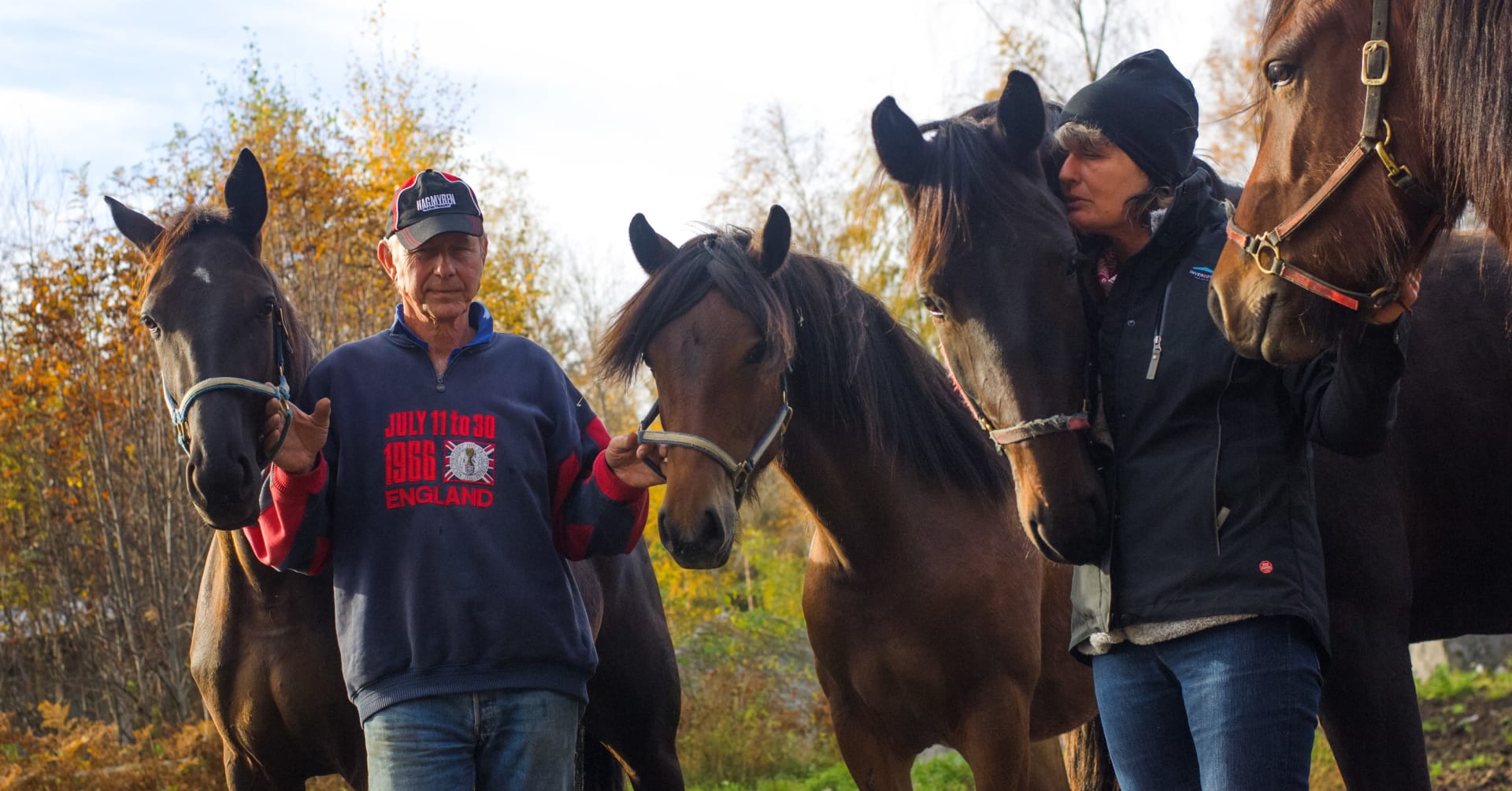 Stall Timotej trappar ner och säljer gården · Senaste nyheterna om trav ...