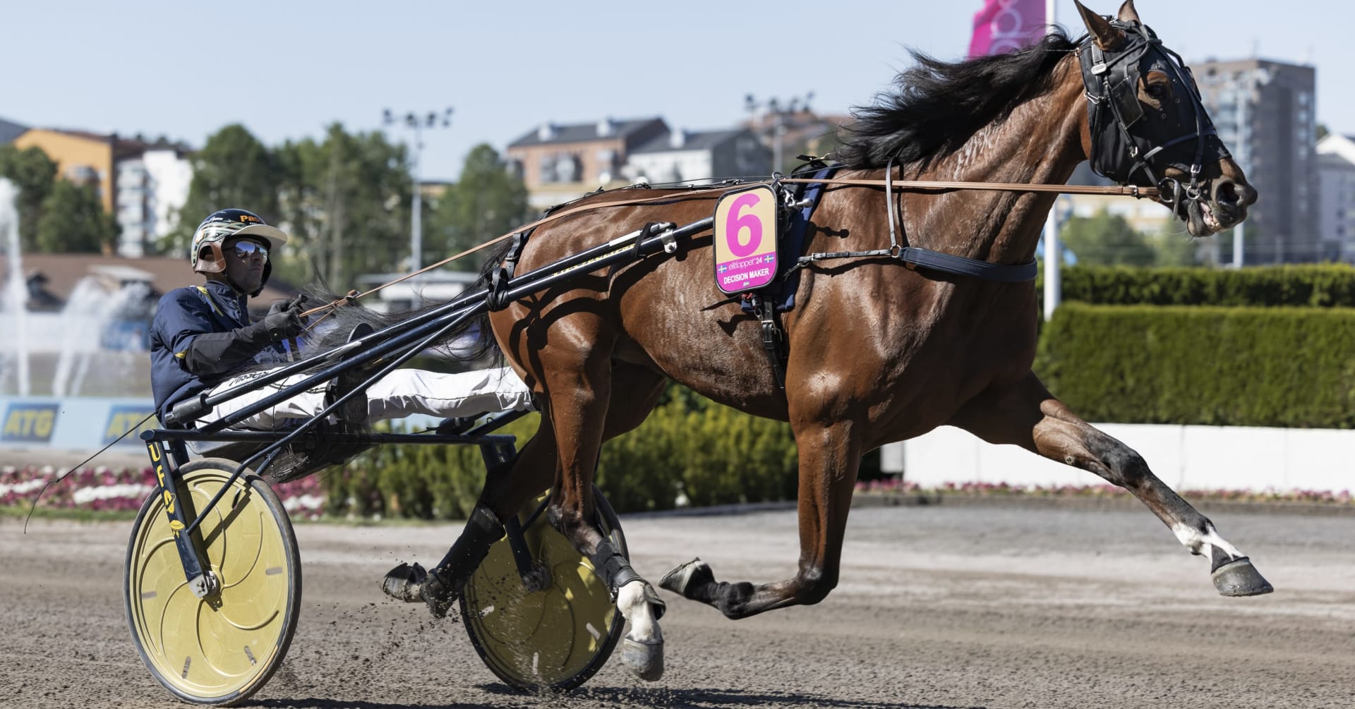 Elitloppshästen Decision Maker redo – mot sista helgen i maj · Senaste ...