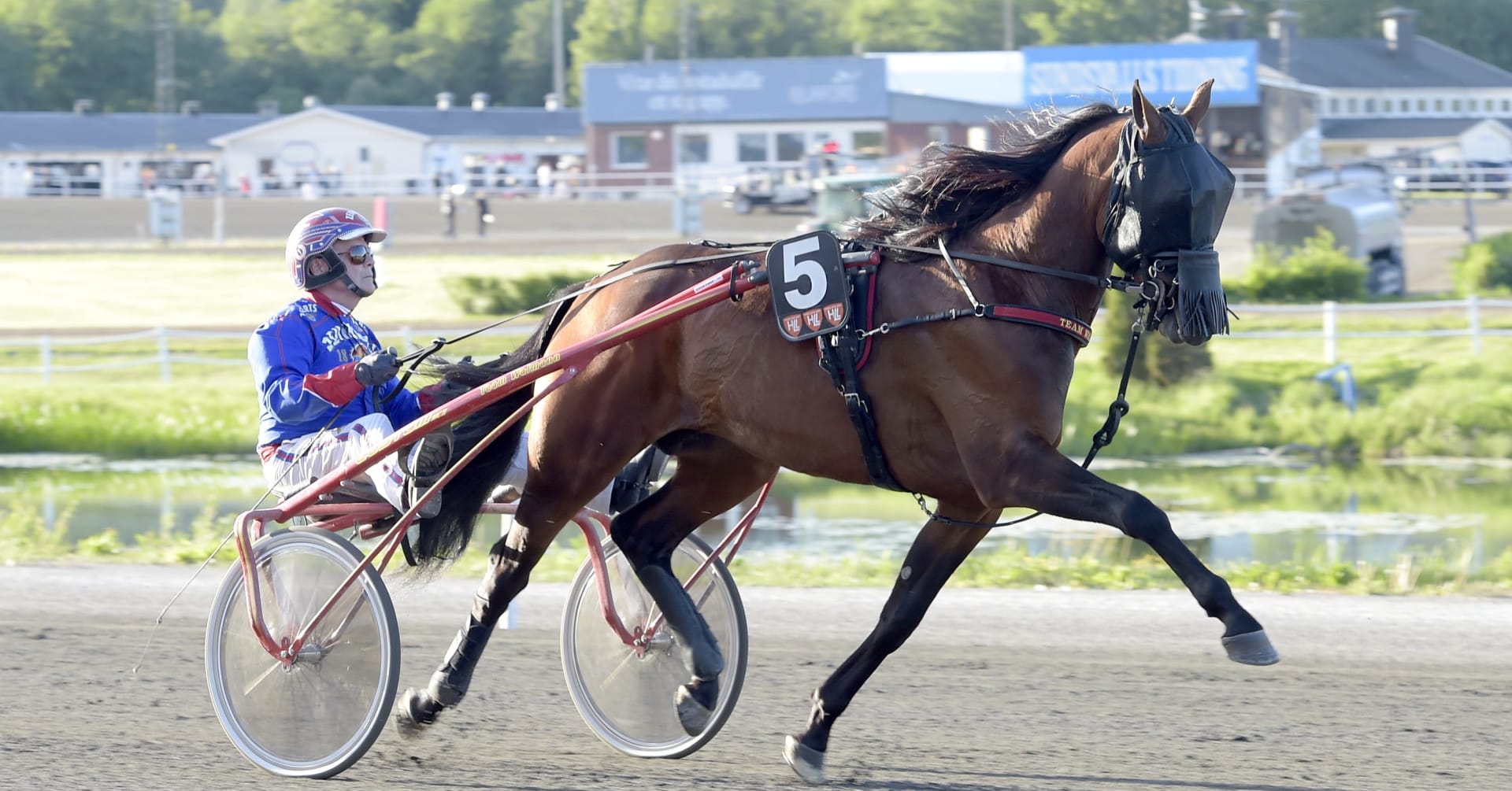 Pristagarna på Hästgalan 2023 · Senaste nyheterna om trav · Travronden