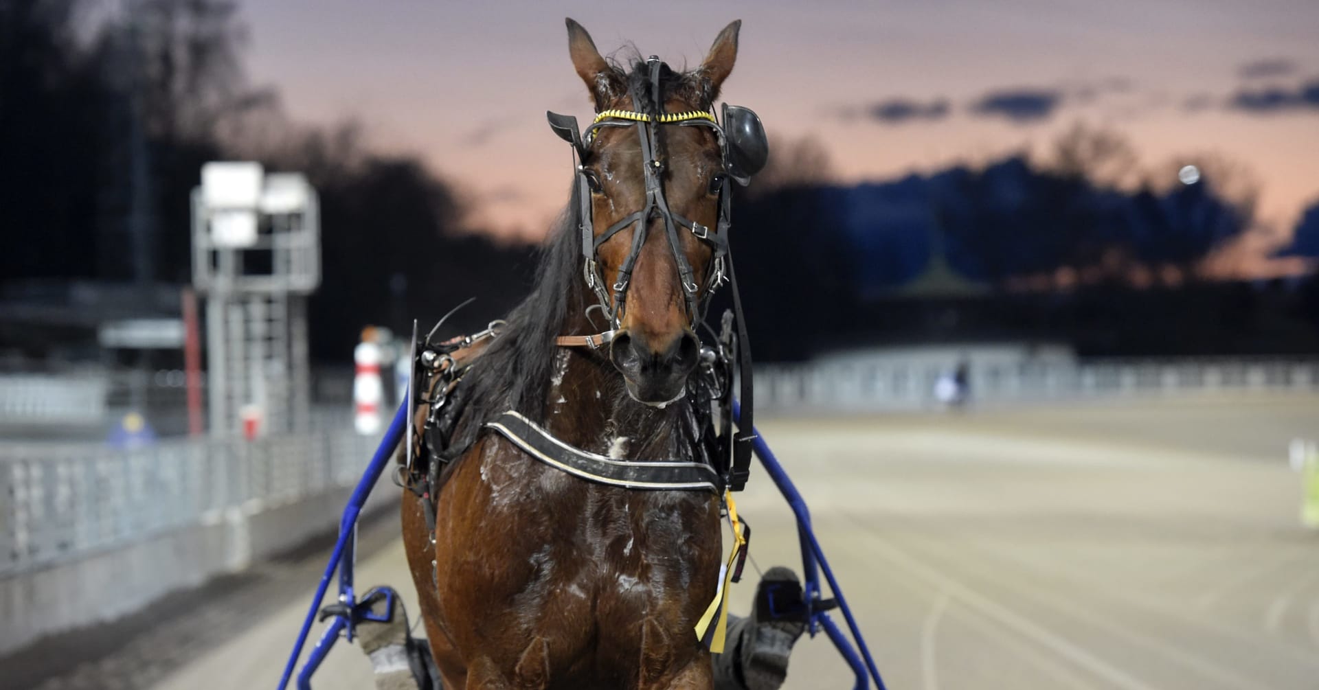 Pär Ländin tror Axel Ruda kan räcka långt · Senaste nyheterna om trav ...