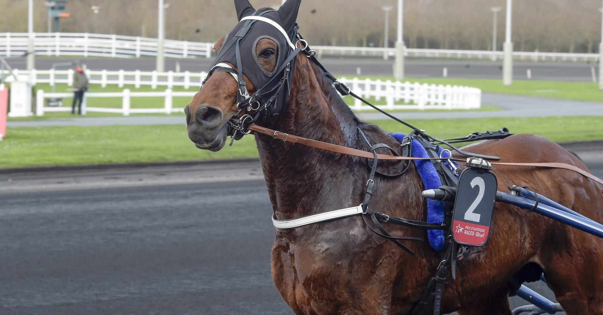 Horsy Dream till Elitloppet · Senaste nyheterna om trav · Travronden