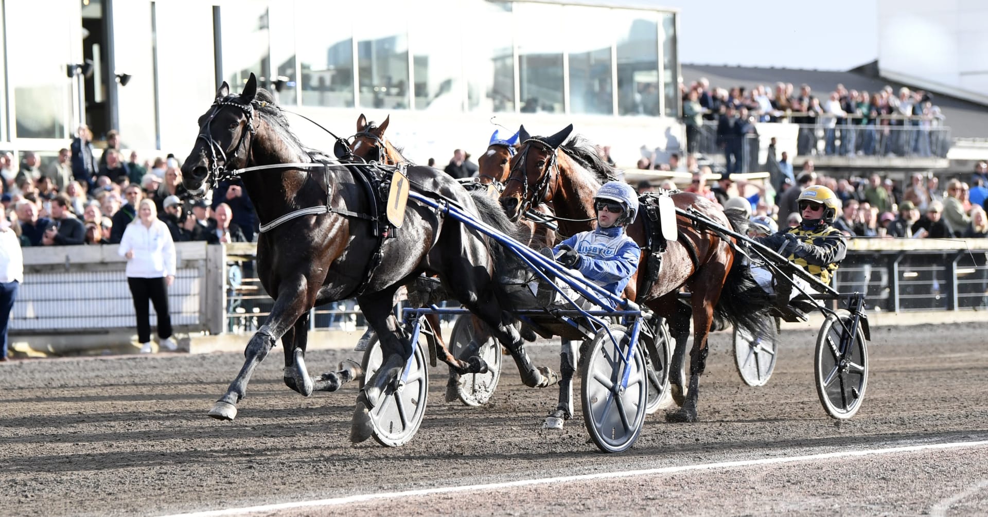 Daniel Wäjersten om framtiden för Borups Victory · Senaste nyheterna om trav · Travronden