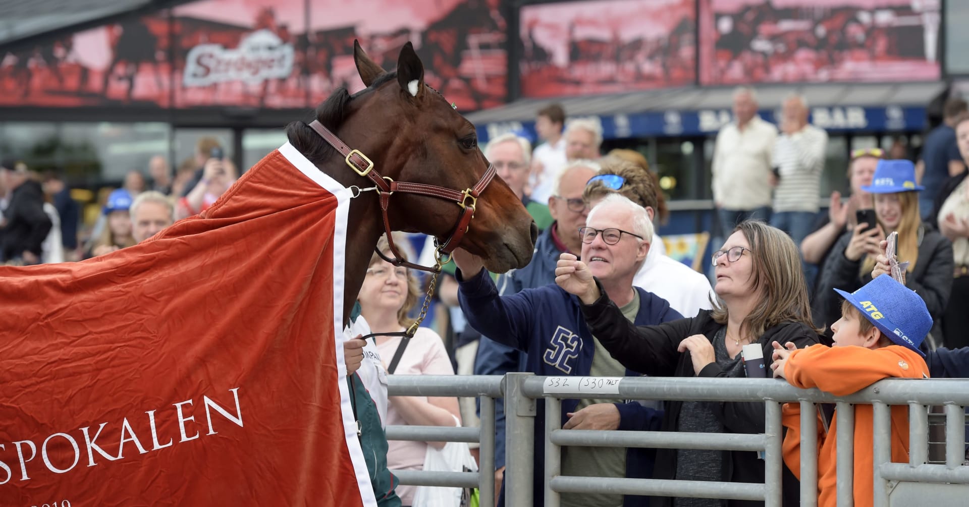 Ebba Kuce blev Who’s Whos första vinnare · Senaste nyheterna om trav ...