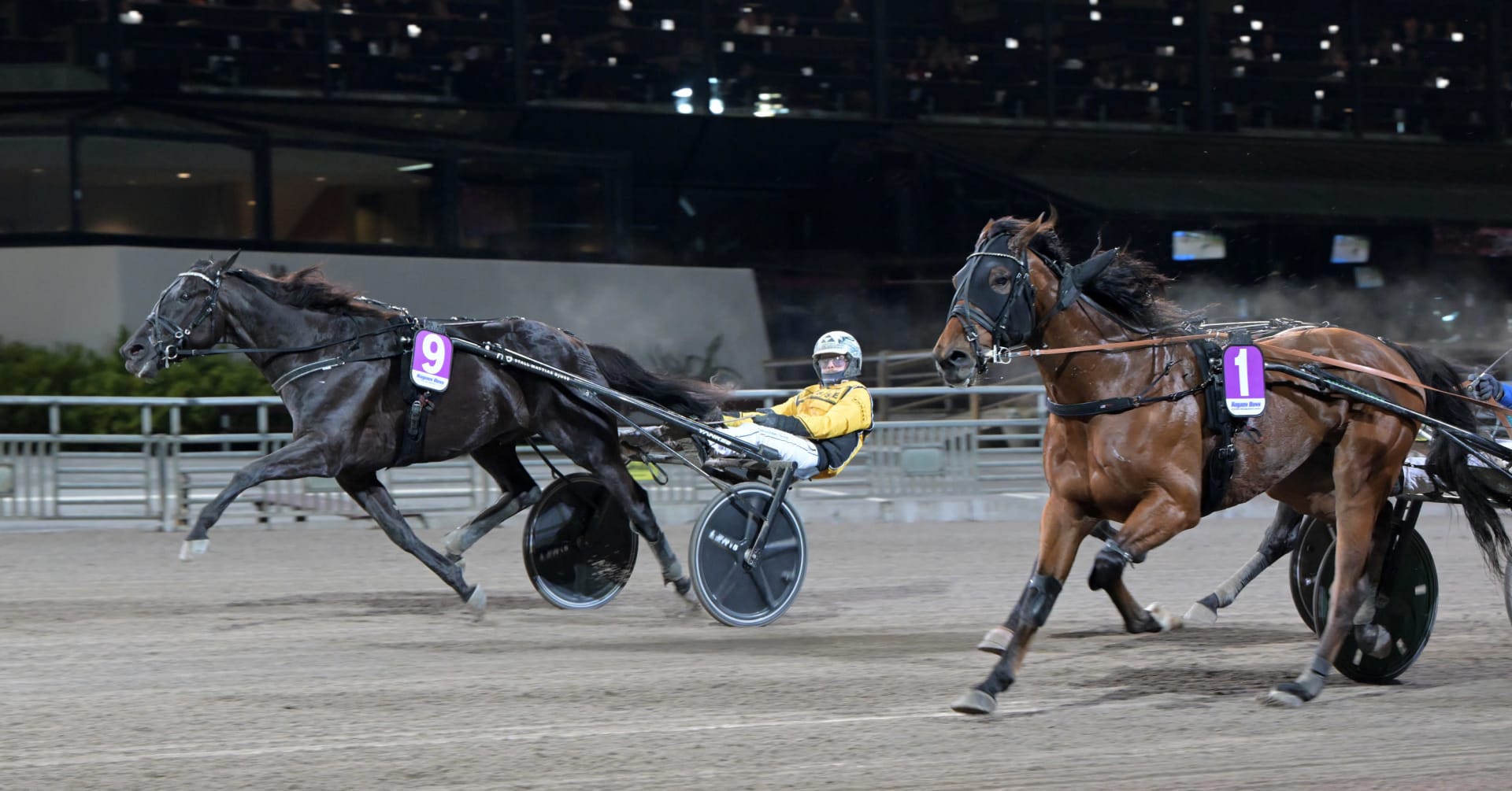 Fine Manners vann i årets sista start · Senaste nyheterna om trav ...