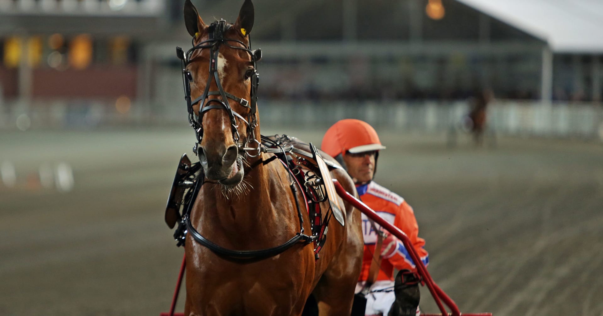 Veckans trav | "Ordinarie V75 på uppesittarkvällen!" · Spelvärde