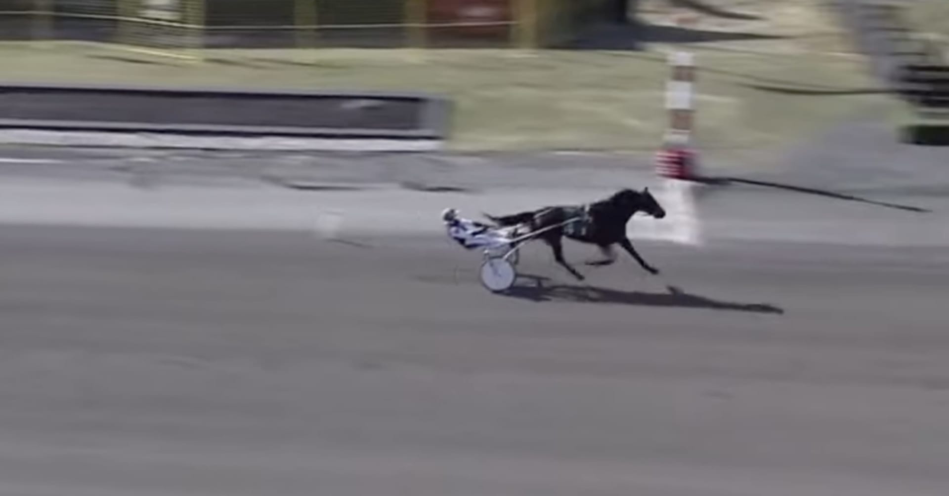 Logan Park fin i kvallopp på Mohawk · Senaste nyheterna om trav ...