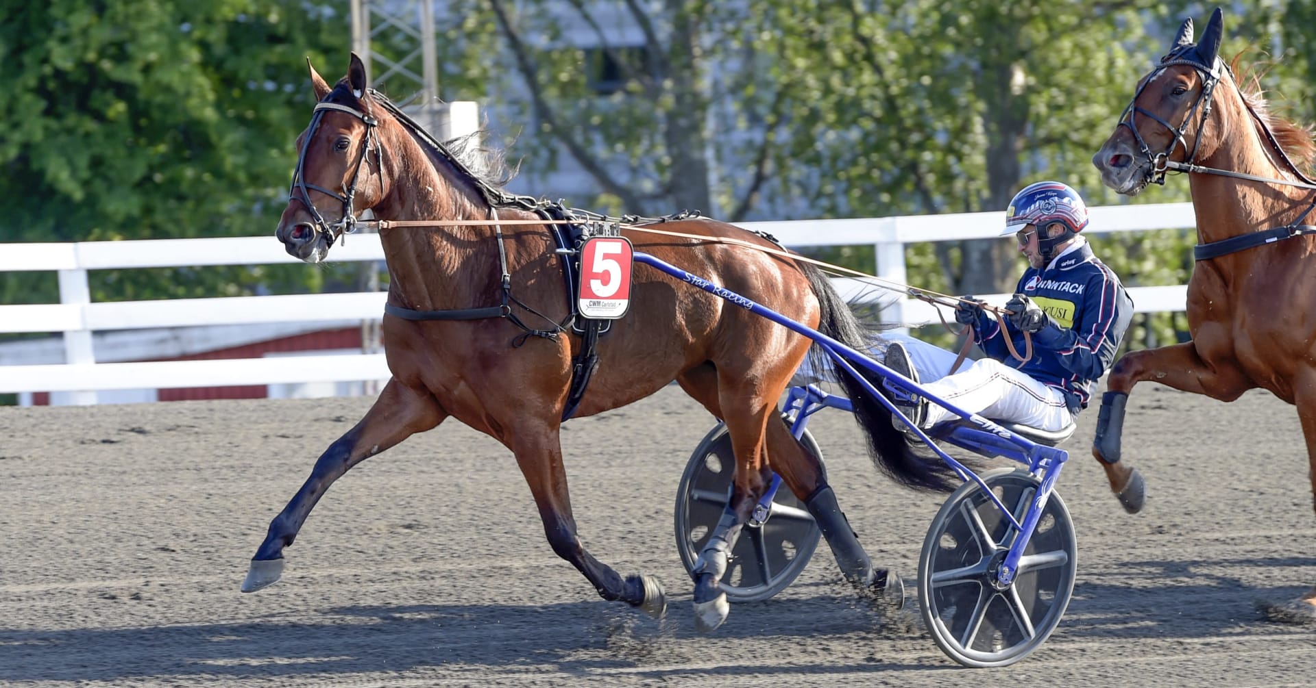 Kinglet Bird flyttas till Daniel Redén · Senaste nyheterna om trav · Travronden