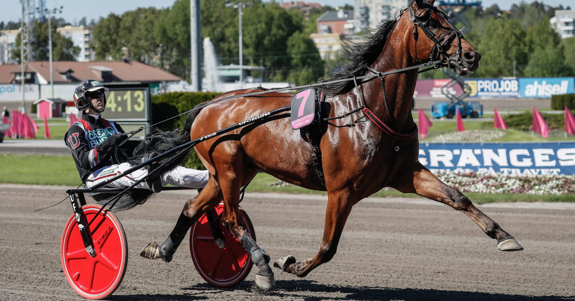 Cyber Lane kan snart vara ute i lopp · Senaste nyheterna om trav ...
