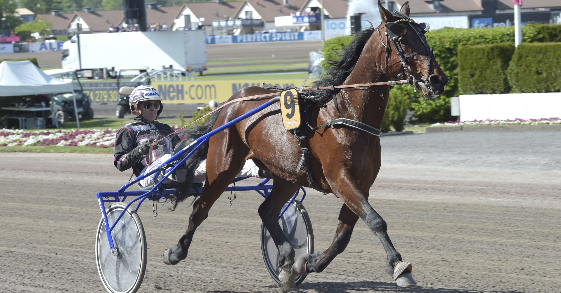 Axel Ruda hastigt avlivad · Senaste nyheterna om trav · Travronden