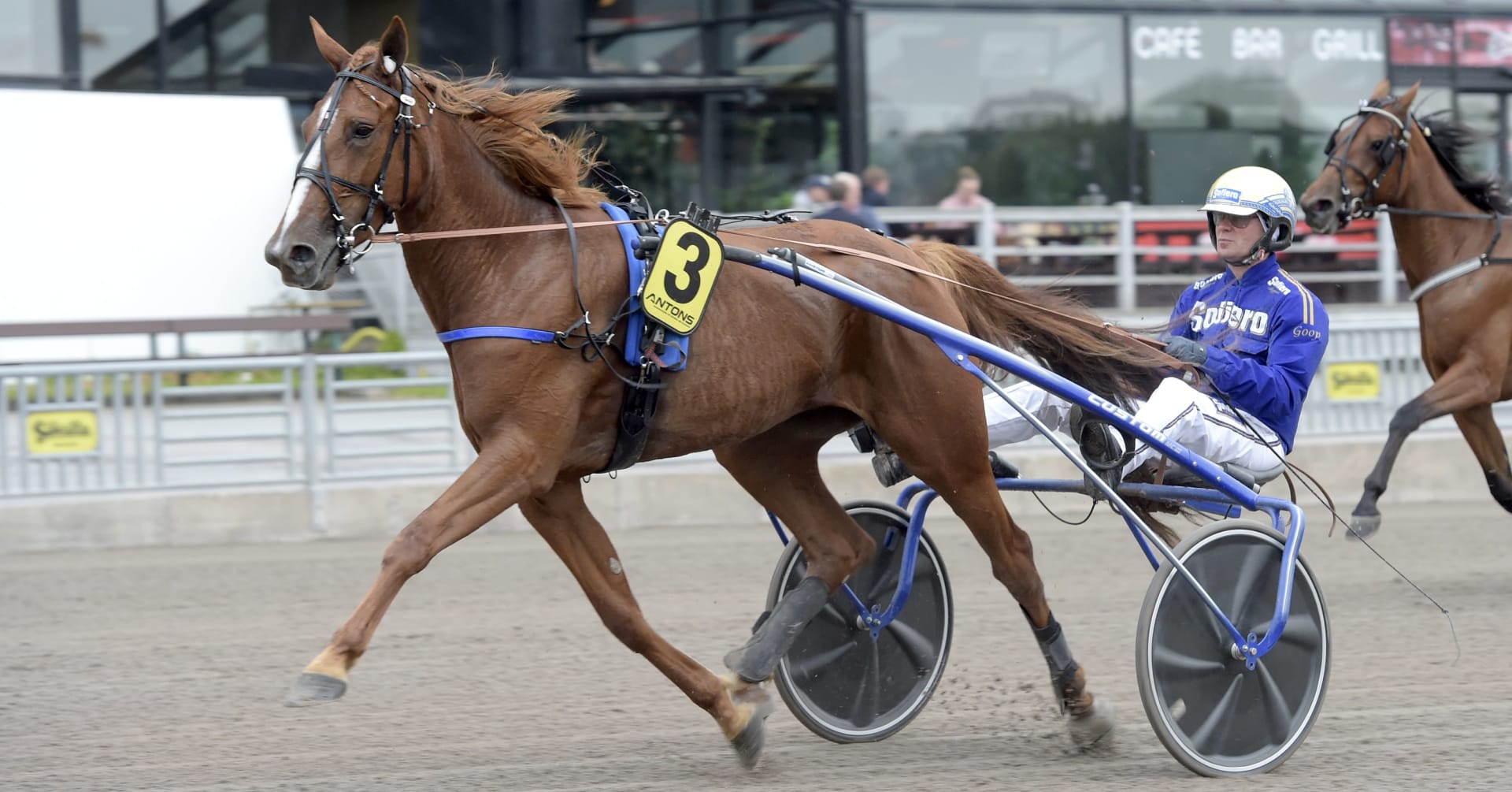 Red Lady Express till avel · Senaste nyheterna om trav · Travronden