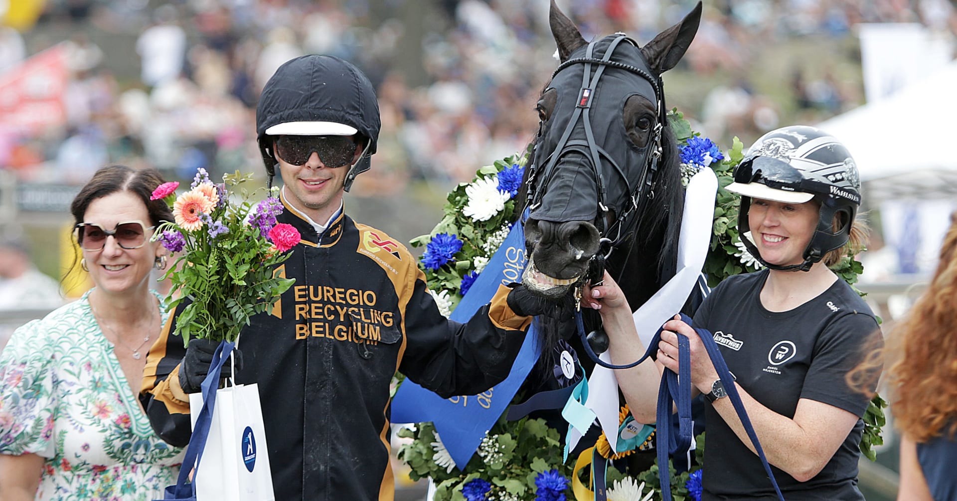 Gio Cash bara bäst – på nytt banrekord · Senaste nyheterna om trav ...