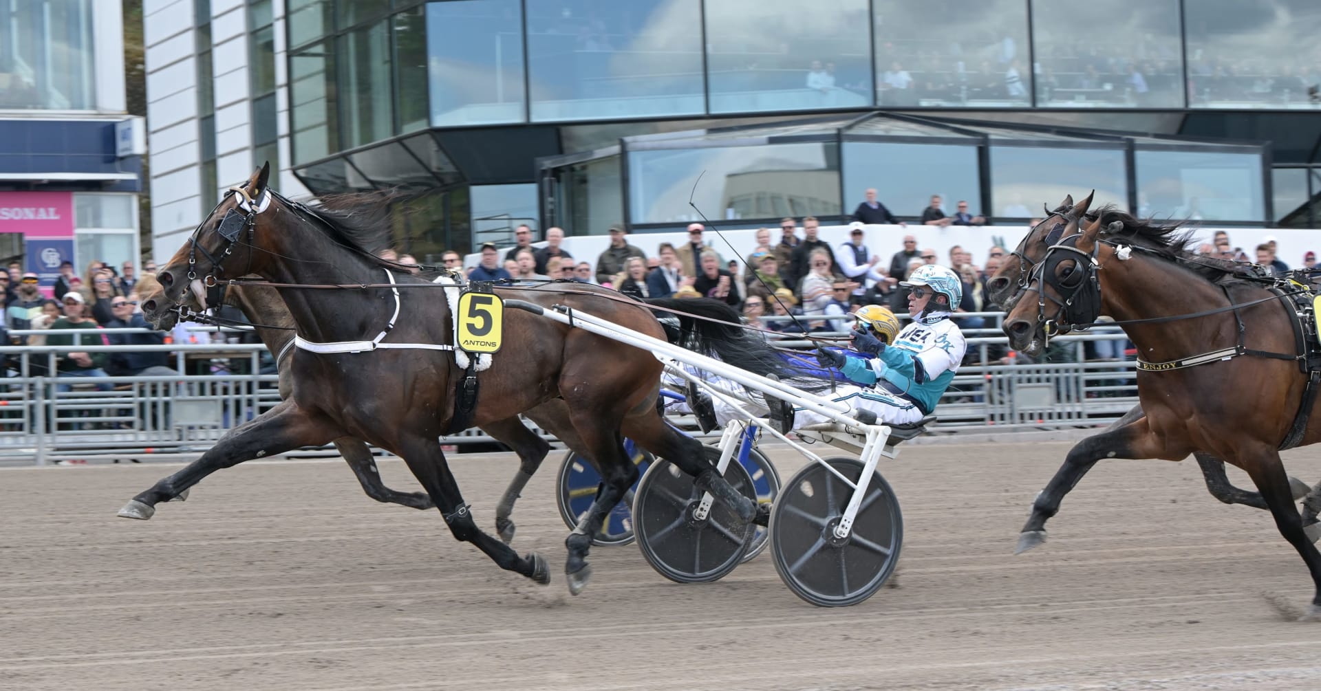 Mister Hercules struken ur Ego Boys Minne · Senaste nyheterna om trav · Travronden