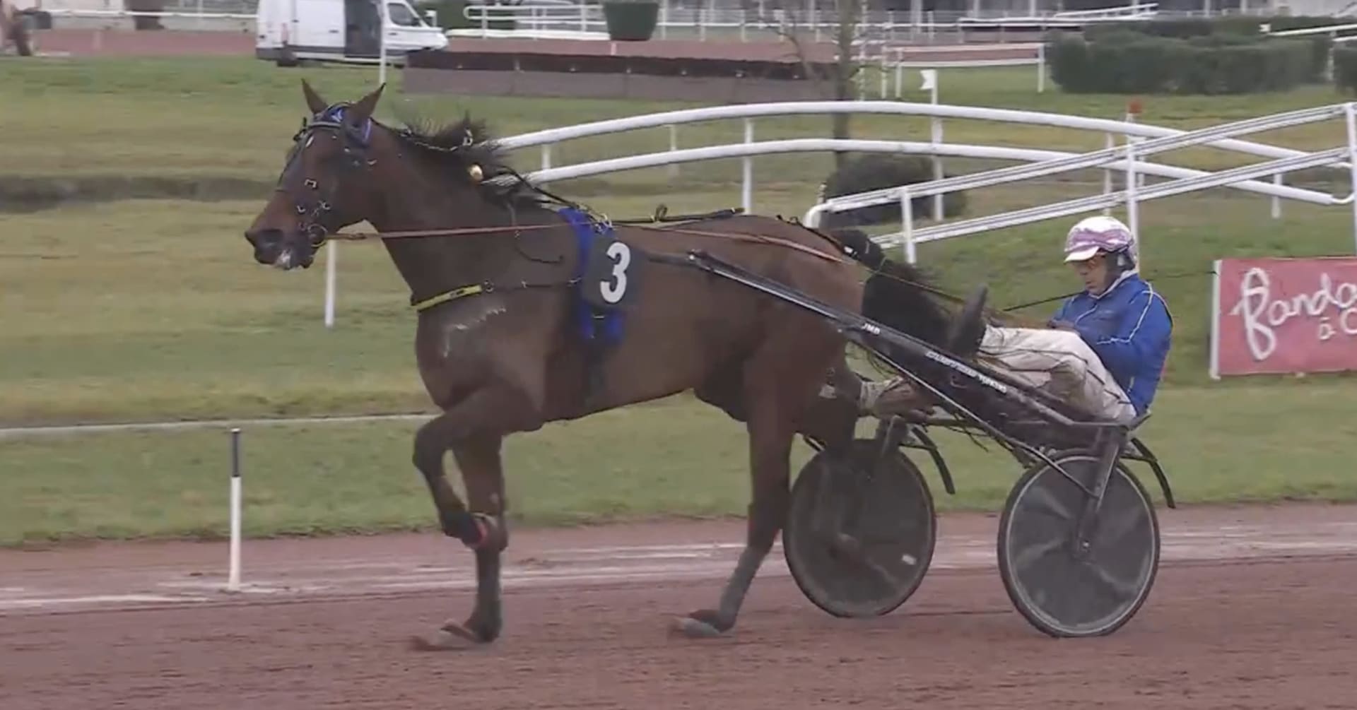 Kingslayer Pellini vann i Agen-La Garenne · Senaste nyheterna om trav ...