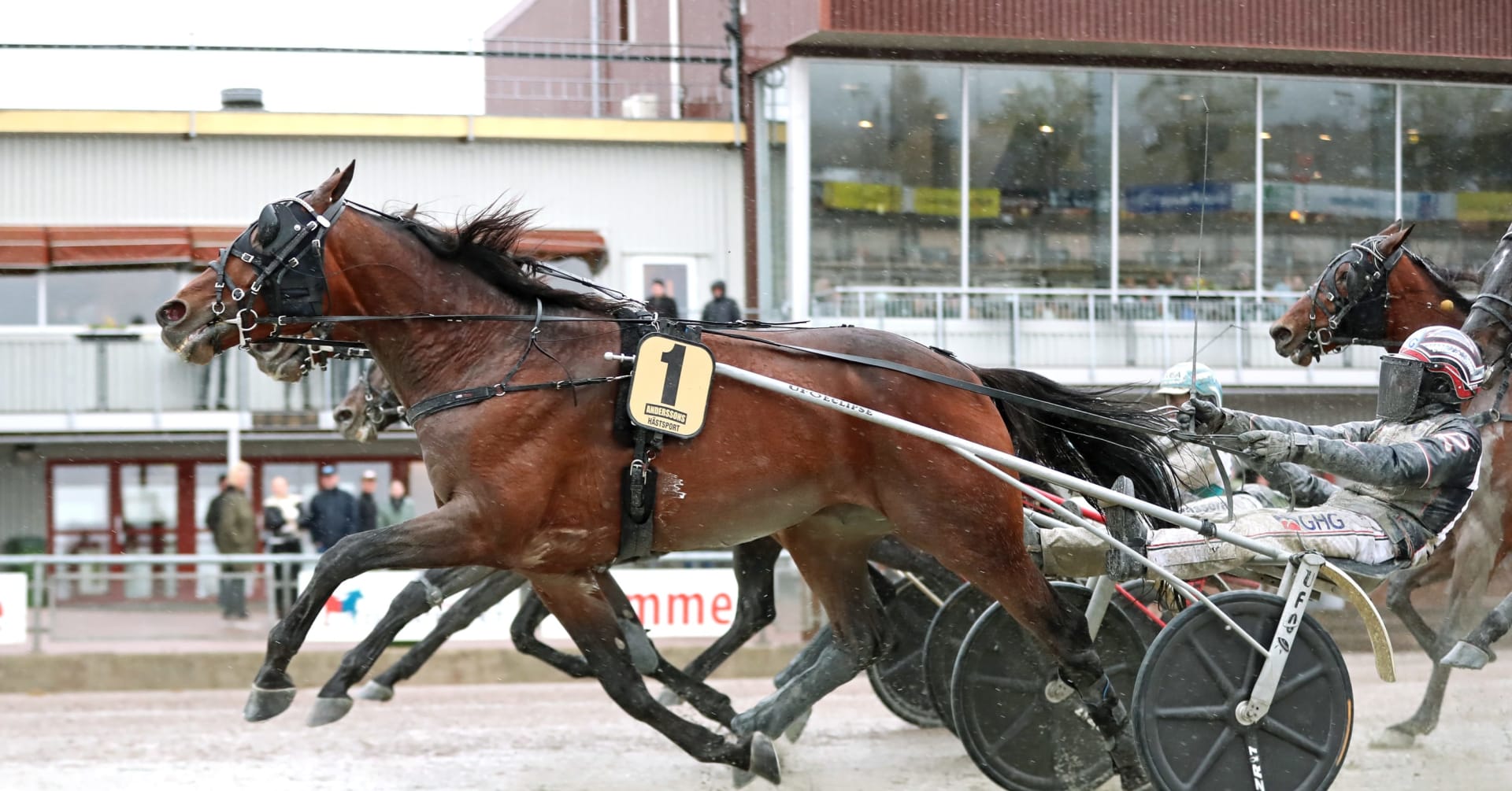 Keep Gamble galopperade som storfavorit på V75 · Senaste nyheterna om trav · Travronden