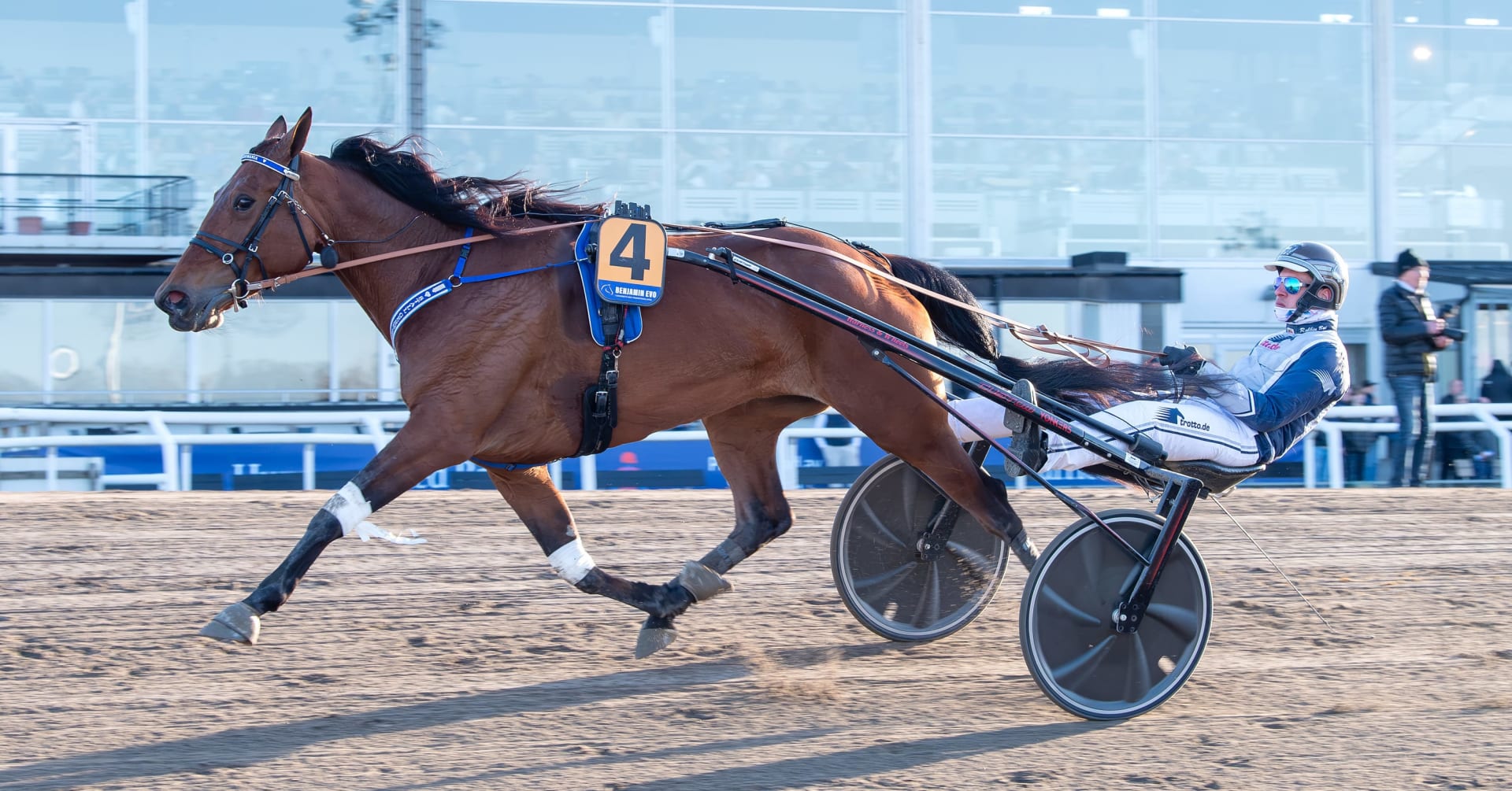 Robbin Bot om Cosmea efter V85-segern på Jägersro · Senaste nyheterna ...