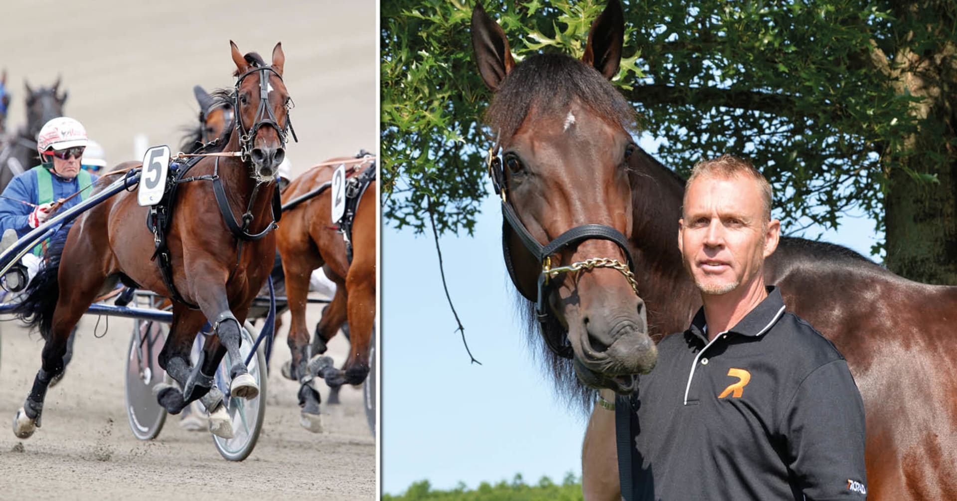 Bästa avelshingstarna i premiechansen-lopp 2022 · Senaste nyheterna om trav · Travronden