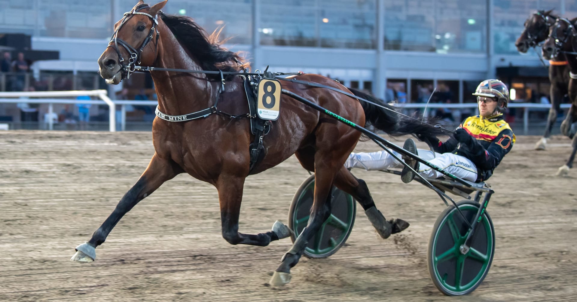 Mats E Djuse om Dream Mine i Svenskt Travderby · Senaste nyheterna om ...