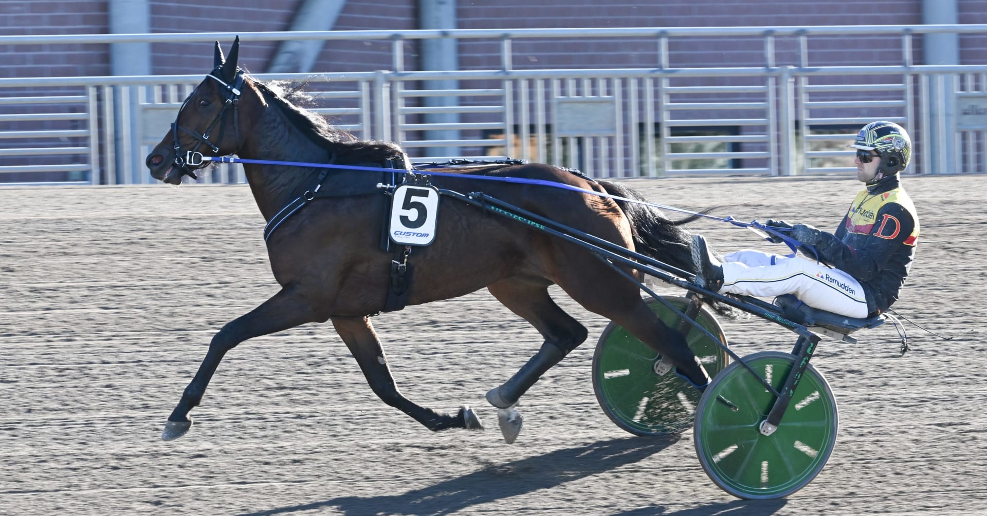 Ecurie Brodda till avel · Senaste nyheterna om trav · Travronden