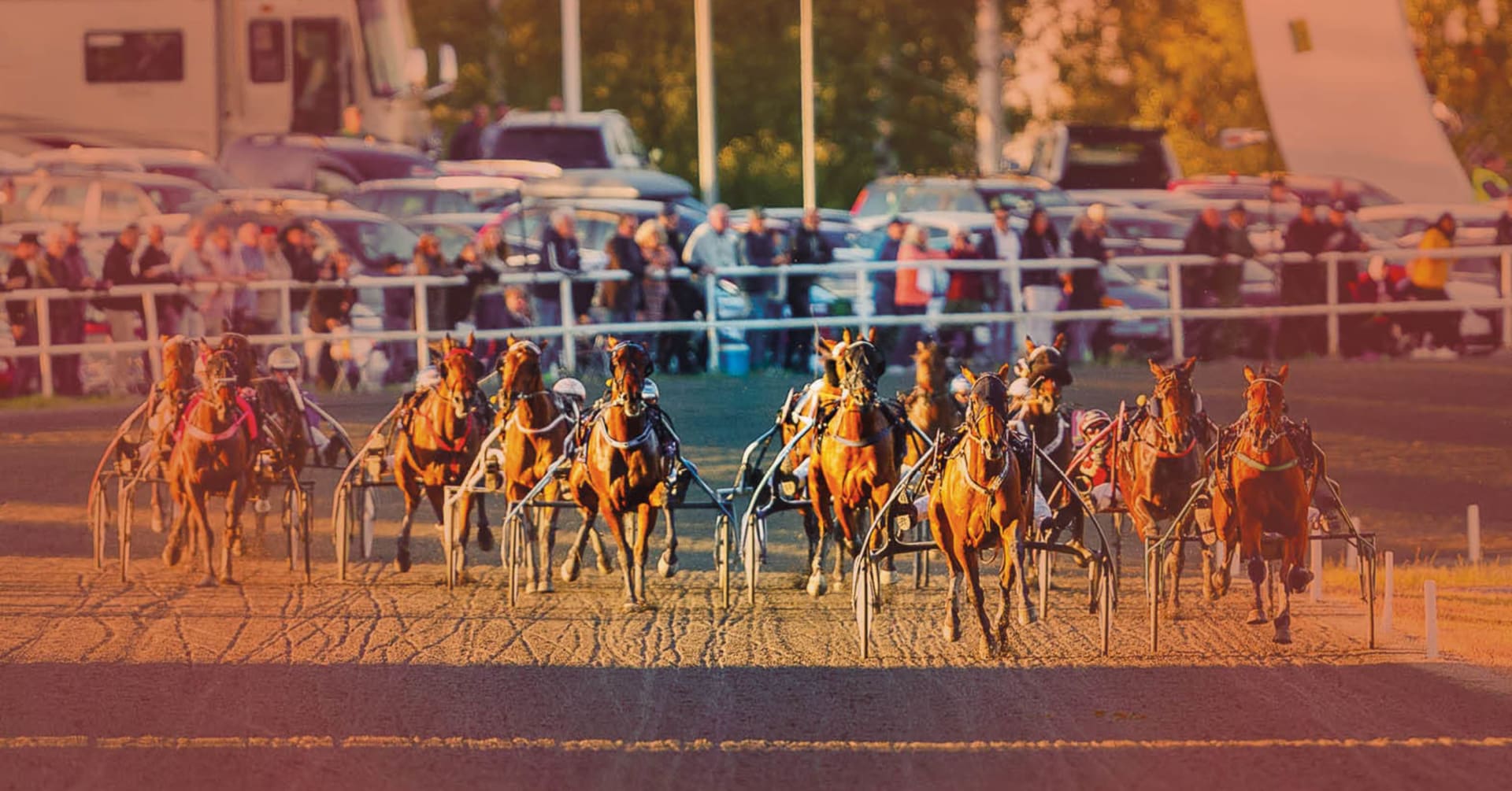 M.H.Herkules vann med stor segermarginal · Senaste nyheterna om trav ...