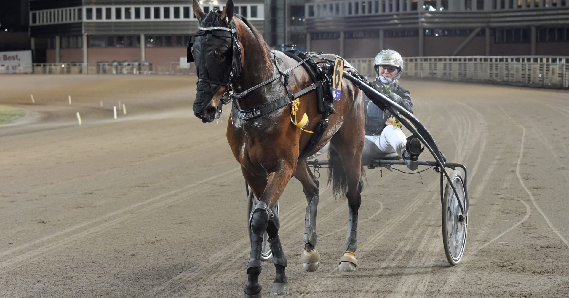Sandokan gjorde Emilia Leo glad igen · Senaste nyheterna om trav ...