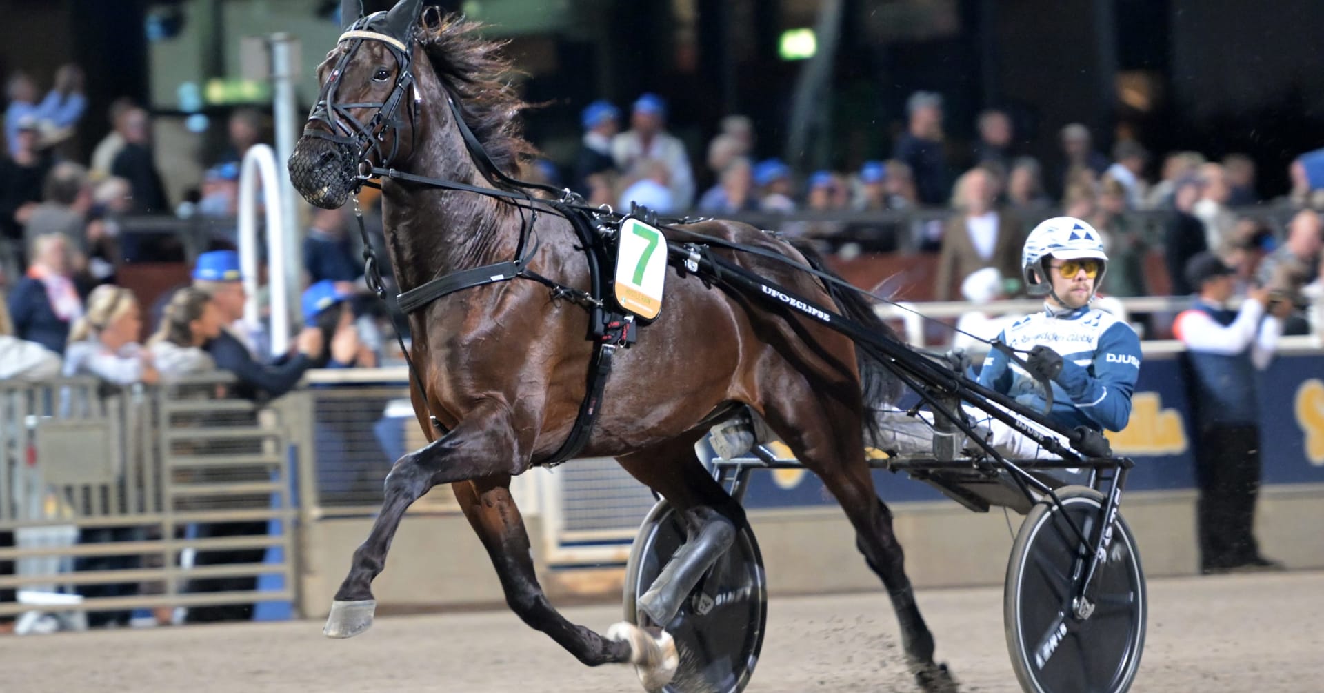 Hustle Rain till Flemming Jensen · Senaste nyheterna om trav · Travronden