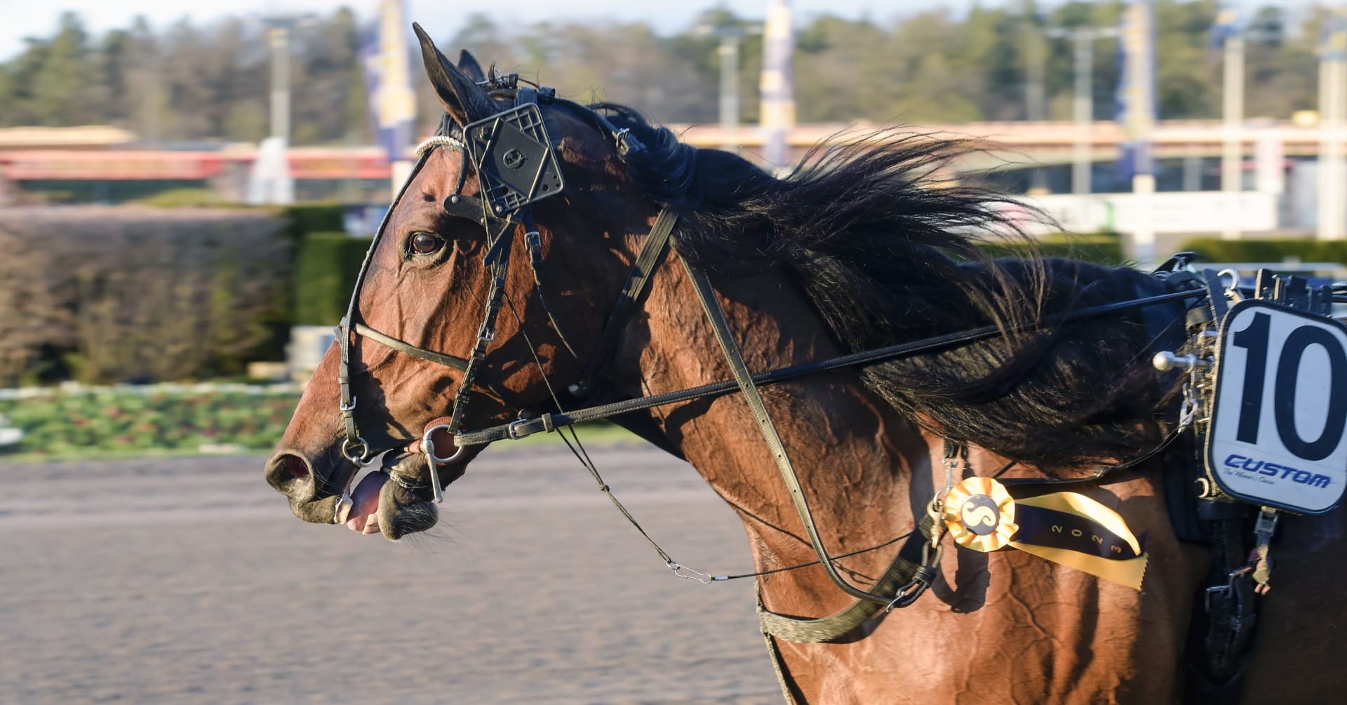 Margareta Tooma struken från Färjestad · Senaste nyheterna om trav ...