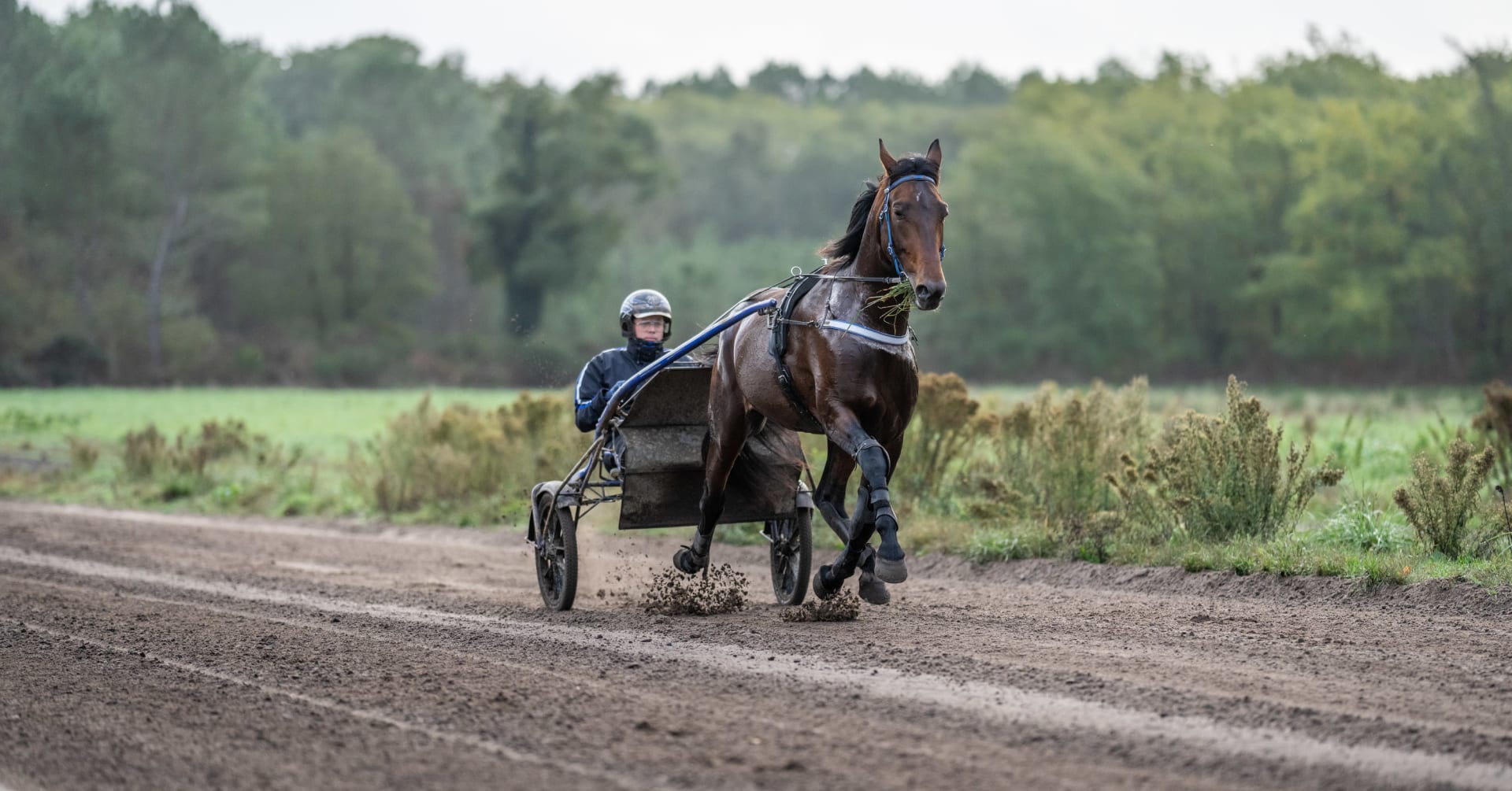 Nitlott för Etonnant · Senaste nyheterna om trav · Travronden